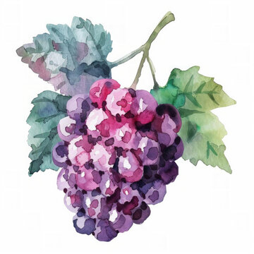 Fructify Images – Browse 587 Stock Photos, Vectors, and Video | Adobe Stock