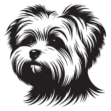 Maltese Dog Silhouette Images – Browse 1,609 Stock Photos, Vectors, and ...