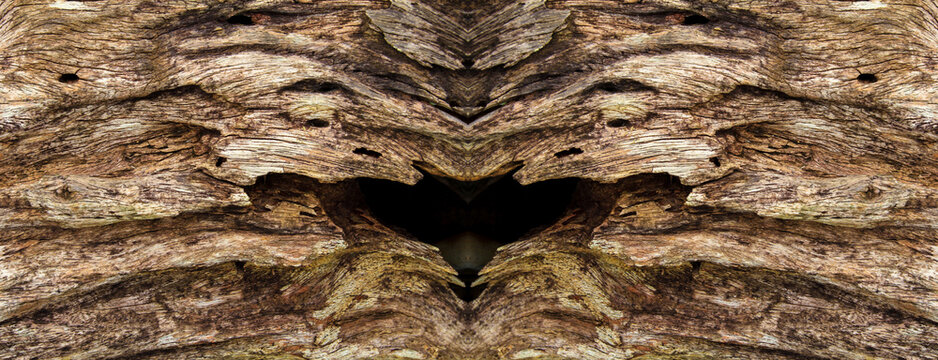 Two-Sided Images – Browse 14,780 Stock Photos, Vectors, and Video ...