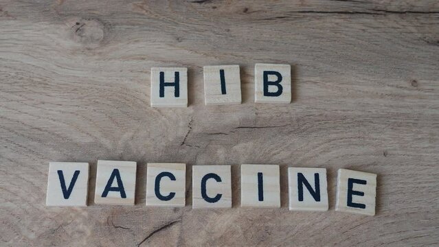 Hib Images – Browse 329 Stock Photos, Vectors, and Video | Adobe Stock