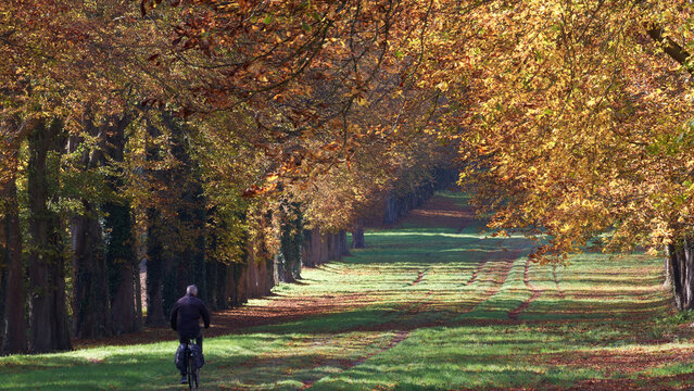 "Chemin " Bilder – Durchsuchen 102,566 Archivfotos, Vektorgrafiken und ...