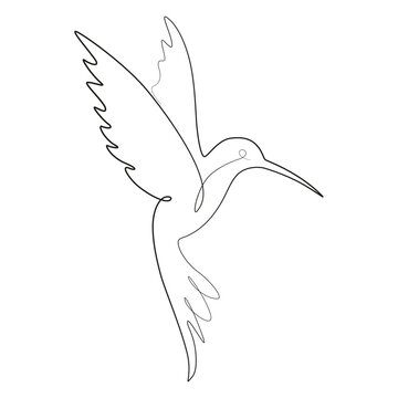 "Hummingbird Vector" Images – Parcourir 346 le catalogue de photos, vecteurs et vidéos | Adobe Stock