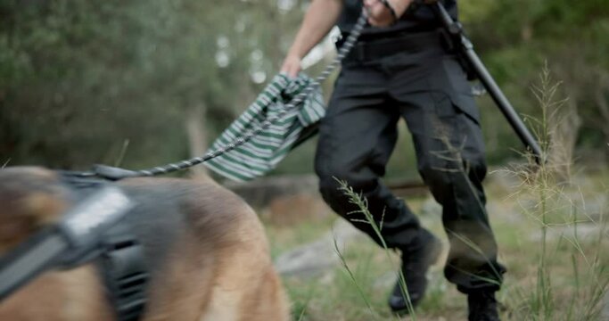 "Detection Dog" Images – Browse 1,370 Stock Photos, Vectors, and Video ...