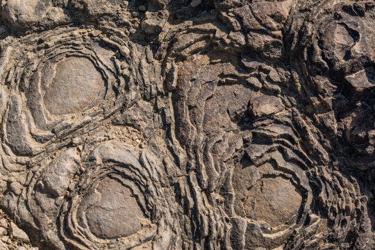 Tholeiit Images – Browse 65 Stock Photos, Vectors, and Video | Adobe Stock