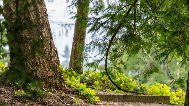 Narure Images – Browse 1,238 Stock Photos, Vectors, and Video | Adobe Stock