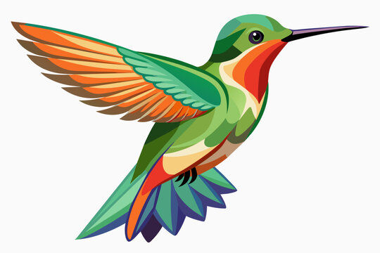 "Hummingbird Vector" Images – Parcourir 346 le catalogue de photos, vecteurs et vidéos | Adobe Stock