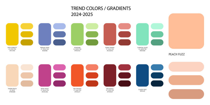 2025 Color Trends Templates – Free Editable Designs | PikWizard