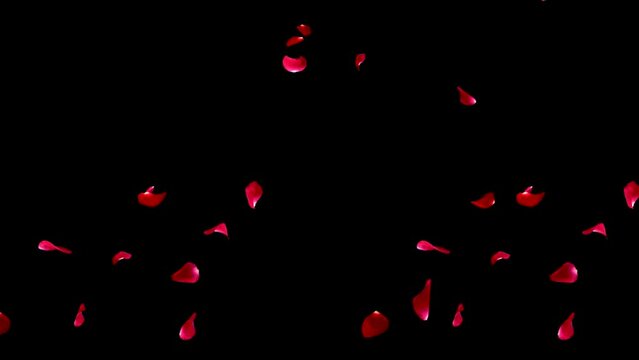 Falling Leaves Overlay Images – Browse 11,610 Stock Photos, Vectors ...