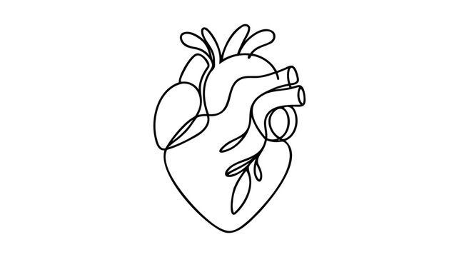 Anatomical Heart Outline Images – Browse 2,870 Stock Photos, Vectors ...