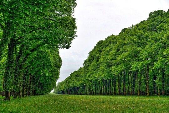 "Natural Boundary" Images – Browse 410 Stock Photos, Vectors, and Video ...
