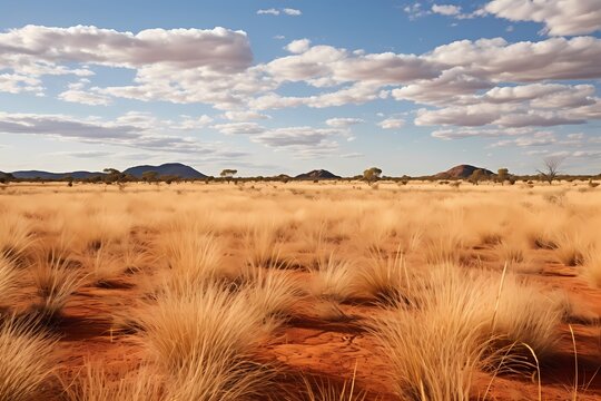 "Australian Outback" Bilder – Durchsuchen 32,020 Archivfotos ...