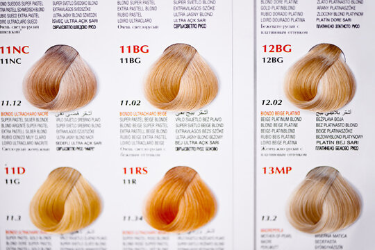 Hairdresser Color Palette Images – Browse 5,004 Stock Photos, Vectors ...