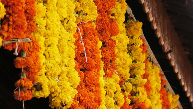 "Flower Garland" Images – Parcourir 7,529 le catalogue de photos ...