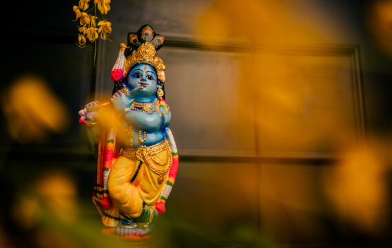 Konnapoo Images – Browse 16 Stock Photos, Vectors, and Video | Adobe Stock