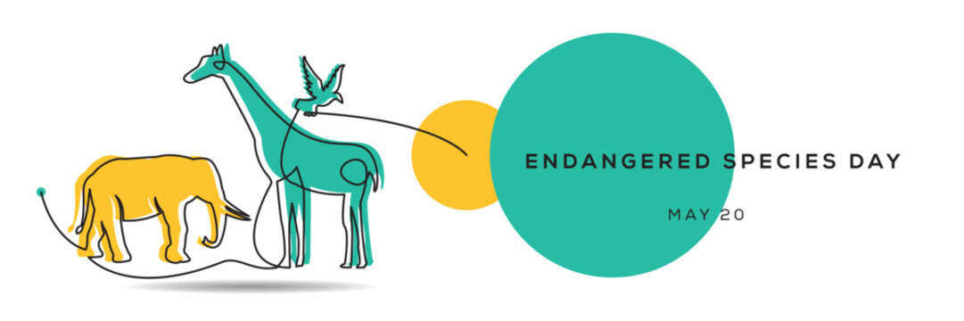 "Endangered Plants" Images – Browse 381 Stock Photos, Vectors, and Video | Adobe Stock