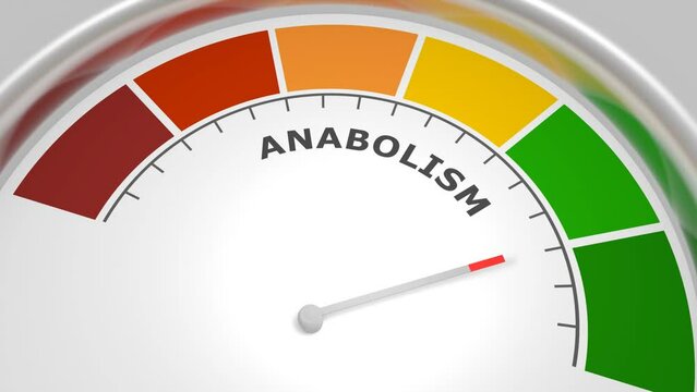 รูปภาพAnabolic – เลือกดูภาพถ่ายสต็อก เวกเตอร์ และวิดีโอ15,314 | Adobe Stock