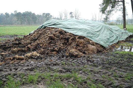 "Dung Heap"-Bilder: Stock-Fotos & -Videos. | Adobe Stock