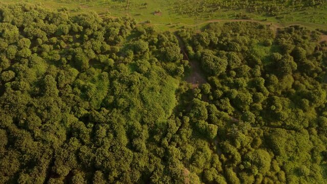 "Arrow Head" Images – Browse 3,312 Stock Photos, Vectors, and Video ...