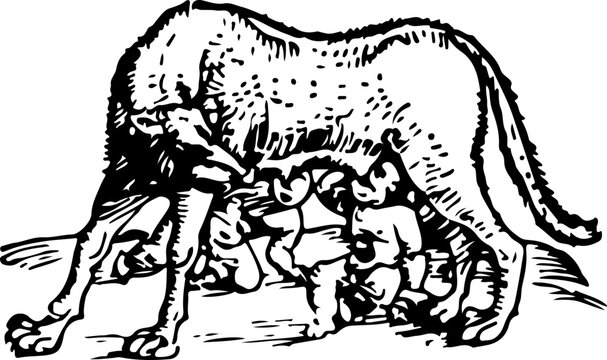 "Romulus And Remus" - Images et vidéos libres de droits | Adobe Stock