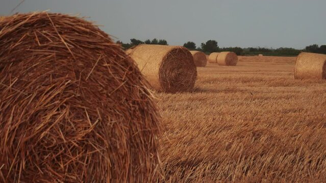 "Bales Of Hay" Images – Browse 1,655 Stock Photos, Vectors, and Video ...