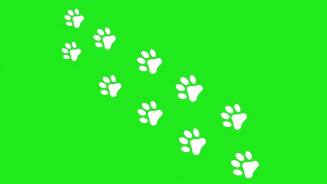 "Animal Footprints" Images – Browse 1,148 Stock Photos, Vectors, and ...