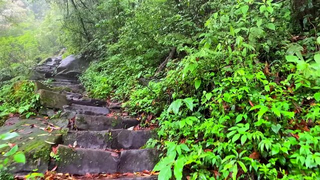 "Dzukou Valley" Images – Browse 194 Stock Photos, Vectors, and Video ...