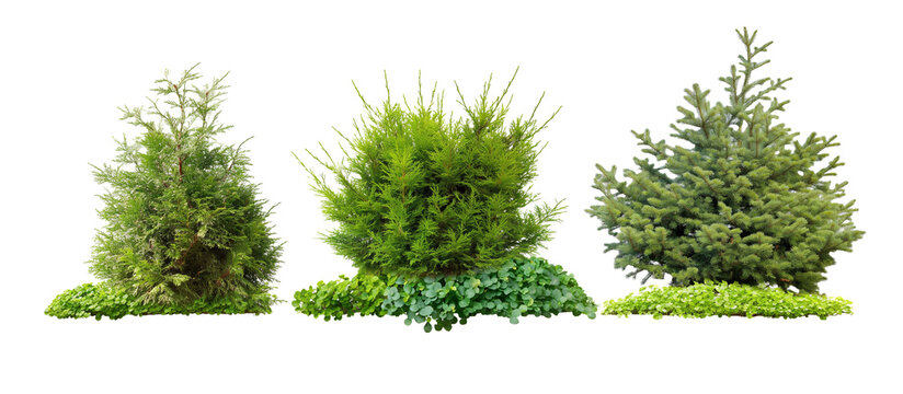 White Christmas Tree Png Images – Browse 83,467 Stock Photos, Vectors ...