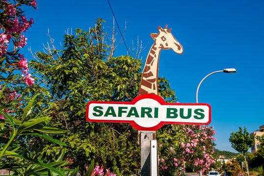 "Safari Bus" Images – Browse 10 Stock Photos, Vectors, and Video ...