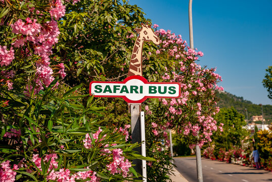 "Safari Bus" Images – Browse 10 Stock Photos, Vectors, and Video ...