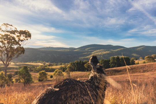 Caseyjadew photos, images, assets | Adobe Stock