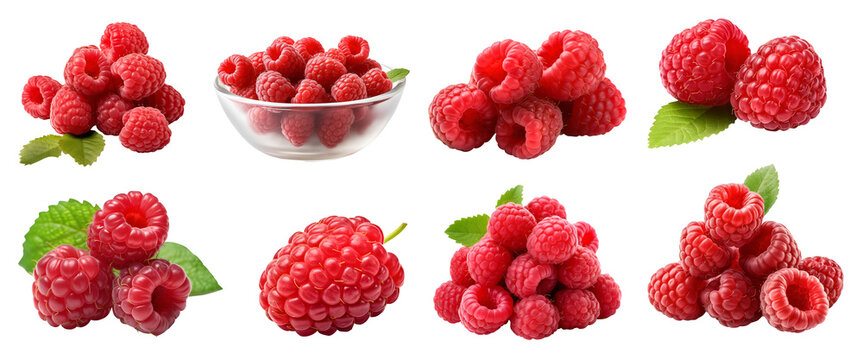 "Raspberry Bush" Images – Browse 1,553,975 Stock Photos, Vectors, and ...