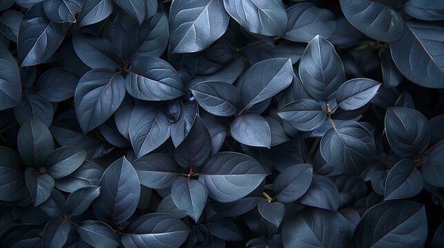 "Monochrome Background" Images – Browse 5,392 Stock Photos, Vectors ...