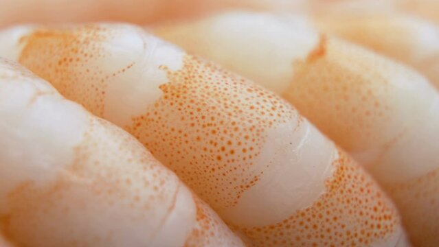 "Marine Pattern" Bilder – Durchsuchen 1,502 Archivfotos, Vektorgrafiken ...