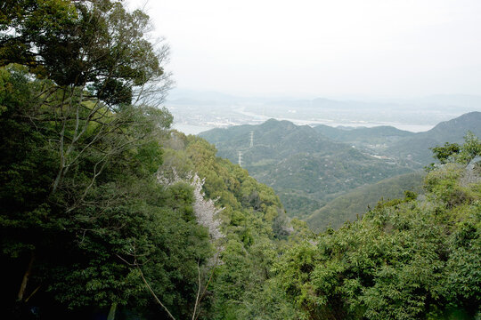 岡山市 Images – Browse 2,340 Stock Photos, Vectors, and Video | Adobe Stock