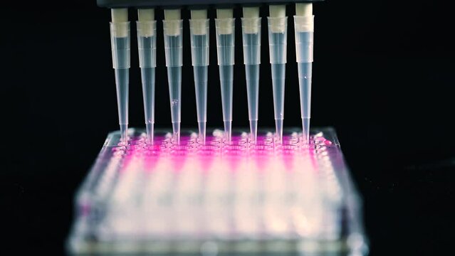 Research Images – Browse 6,040,230 Stock Photos, Vectors, and Video ...