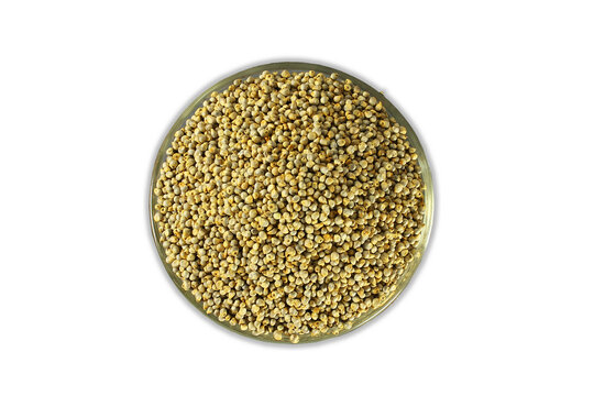 Bajra Images – Browse 2,023 Stock Photos, Vectors, and Video | Adobe Stock