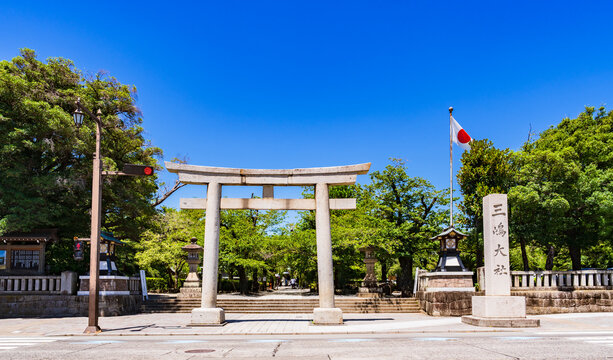 被写体 Images – Browse 855 Stock Photos, Vectors, and Video | Adobe Stock