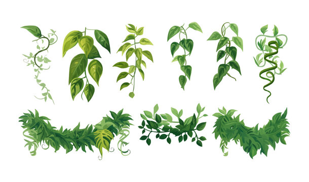 Vines Images – Browse 182,948 Stock Photos, Vectors, and Video | Adobe ...