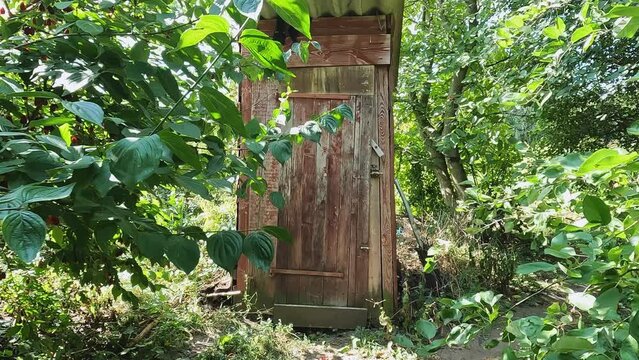 Toilet Tree Images – Browse 20,769 Stock Photos, Vectors, and Video ...