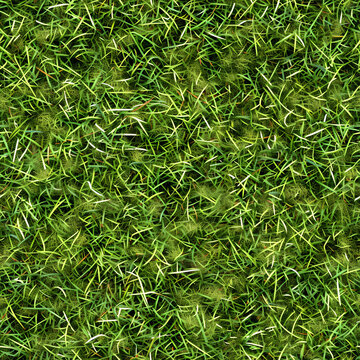Grass Texture Tile Images – Browse 70,729 Stock Photos, Vectors, and ...