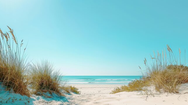 "Coastal Vegetation" Images – Browse 1,324 Stock Photos, Vectors, and ...