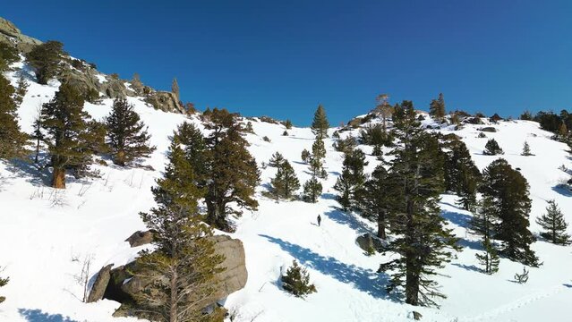 "Carson Pass" Bilder – Durchsuchen 144 Archivfotos, Vektorgrafiken und ...