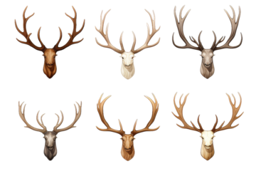 Decorative Quadrant PNGs – Transparent Background Images | PikWizard