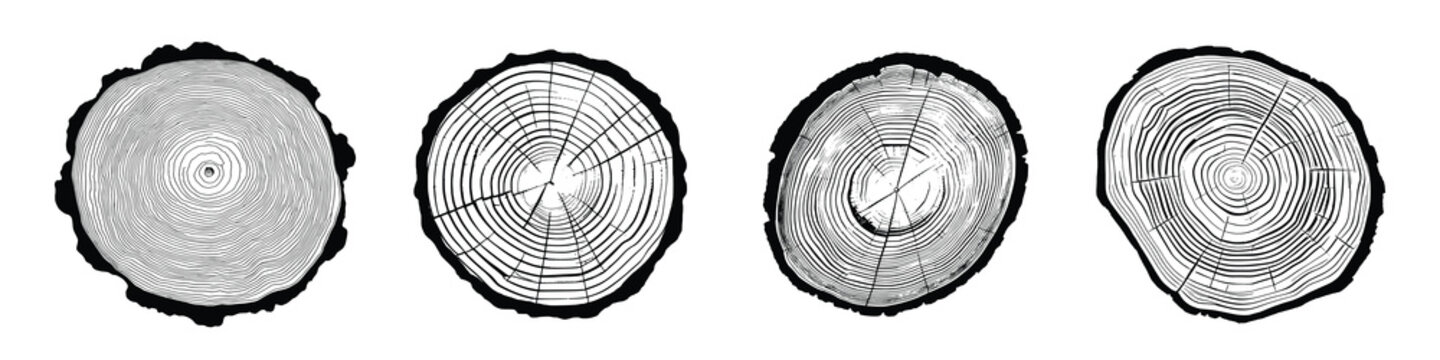 "Tree Rings Pattern" Images – Browse 283 Stock Photos, Vectors, and ...