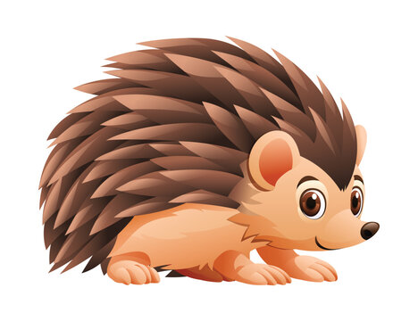 Hedgehog cartoon store