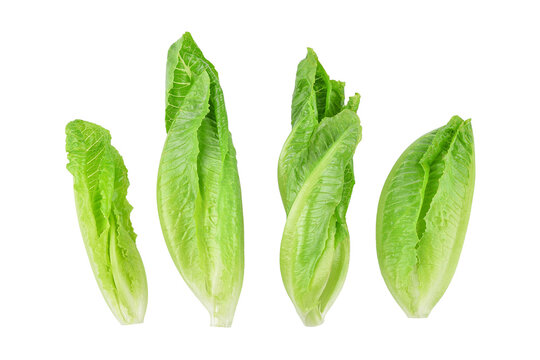 Bcm Images – Browse 12,737 Stock Photos, Vectors, and Video | Adobe Stock