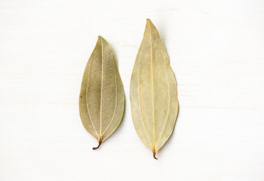 Brindleberry Images – Browse 789 Stock Photos, Vectors, and Video ...