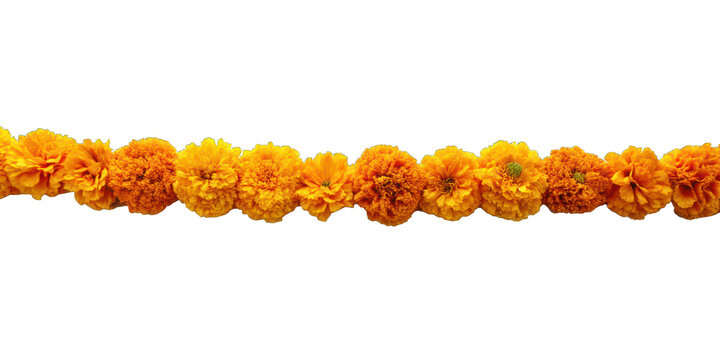 "Marigold Garland" Images – Browse 293 Stock Photos, Vectors, and Video ...