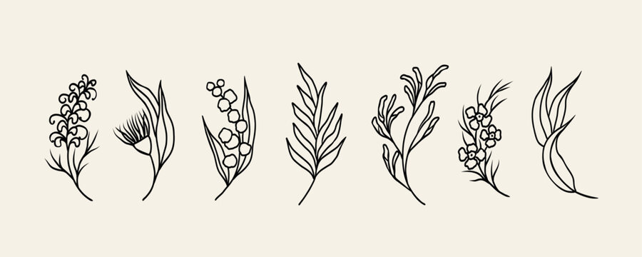 Gum Leaves Drawing Images – Browse 5,594 Stock Photos, Vectors, and ...