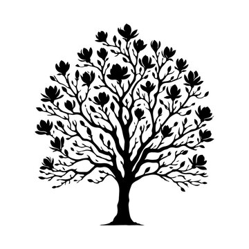 Magnolia Tree Drawing Images – Browse 61,421 Stock Photos, Vectors, and ...
